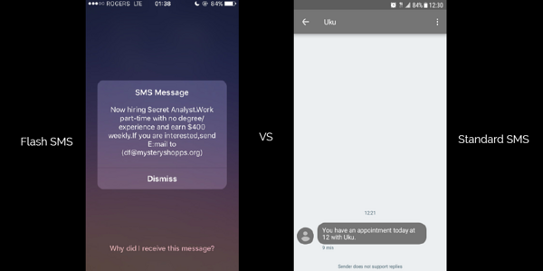 Flash SMS: an Easy Way to Ensure Confidentiality